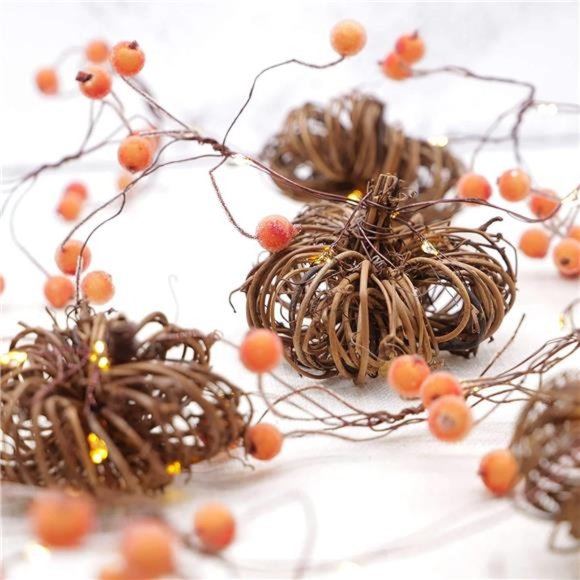 Holiday | Halloween Decor Rattan Pumpkin Berry String Lights 1ft 30leds ...